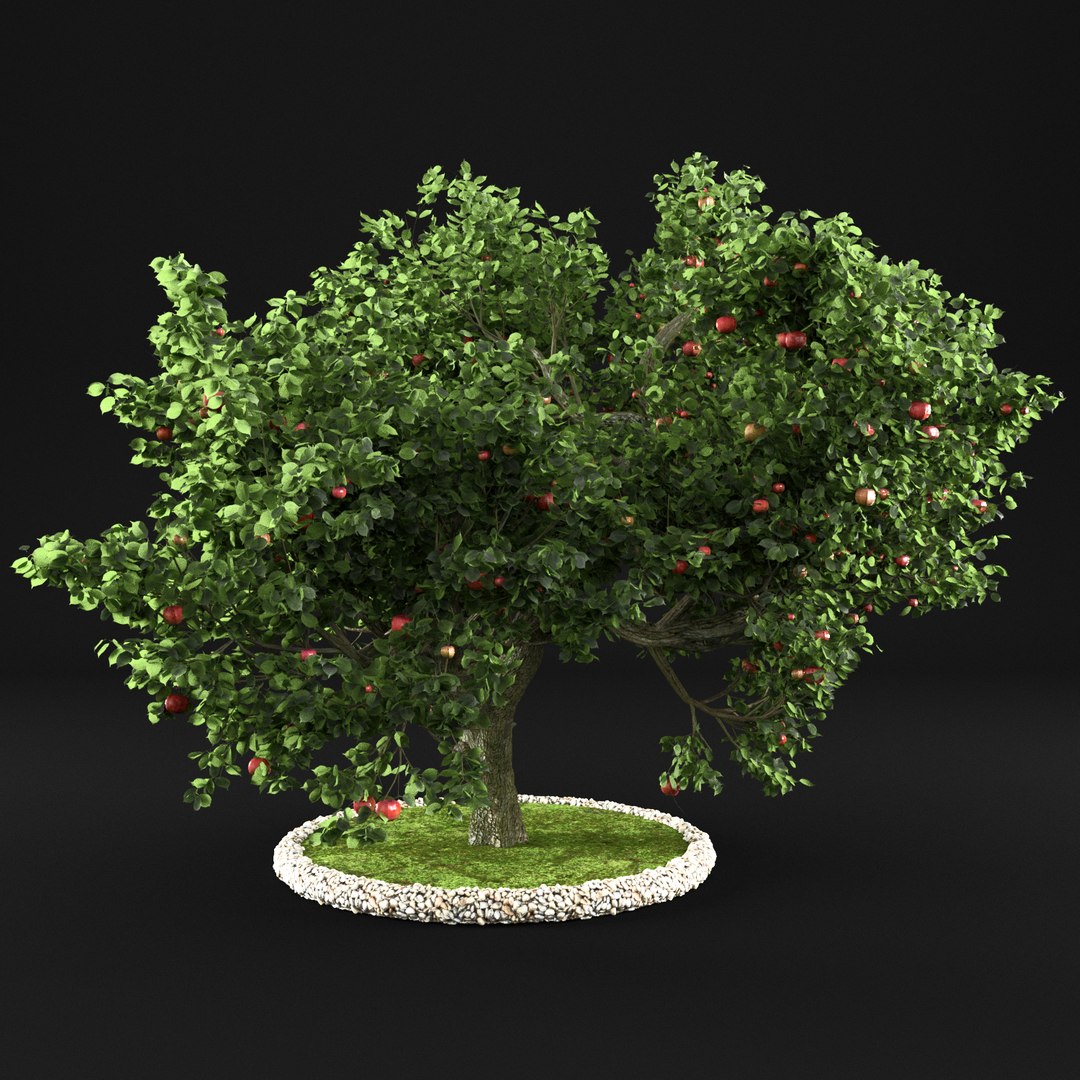 3D apple tree model - TurboSquid 1159251