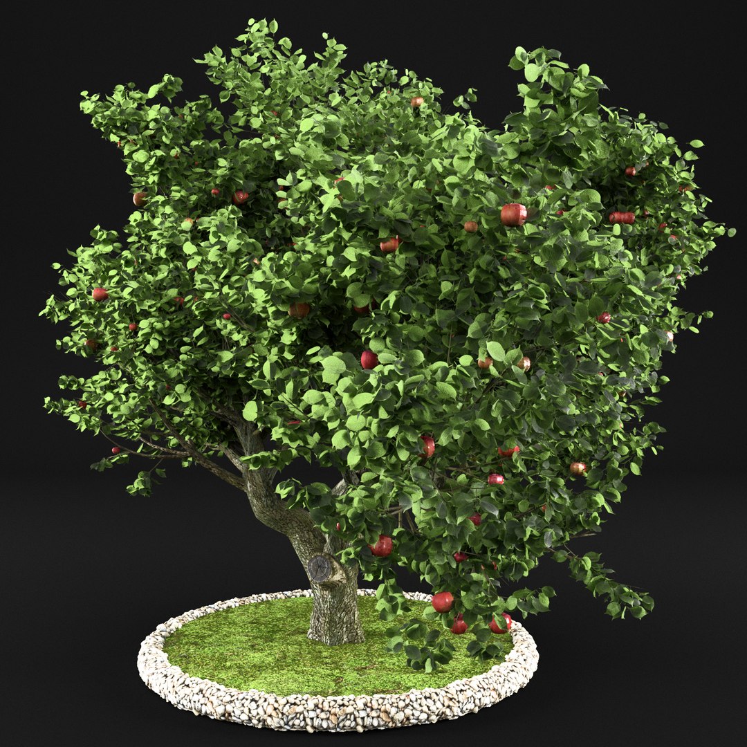 3D apple tree model - TurboSquid 1159251