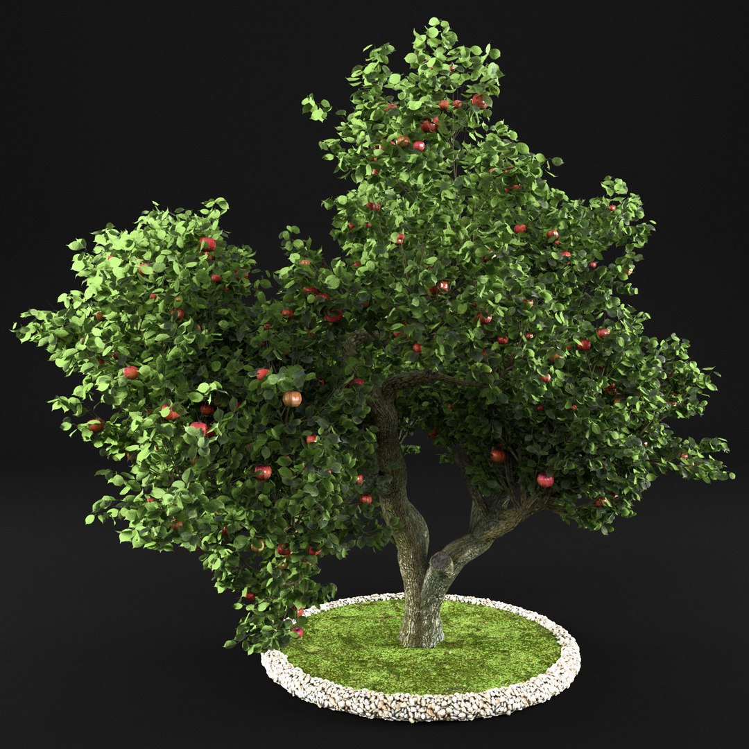 3D apple tree model - TurboSquid 1159251