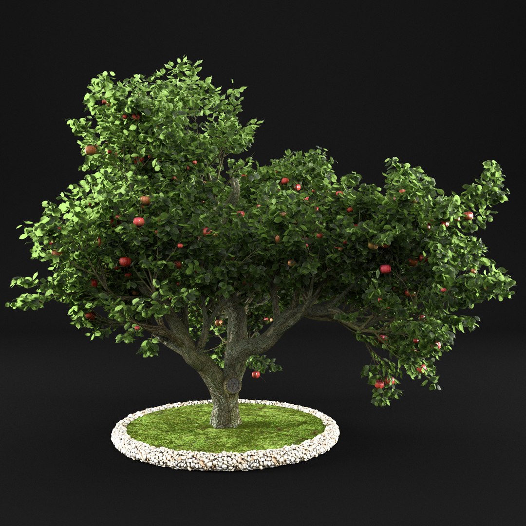 3D apple tree model - TurboSquid 1159251