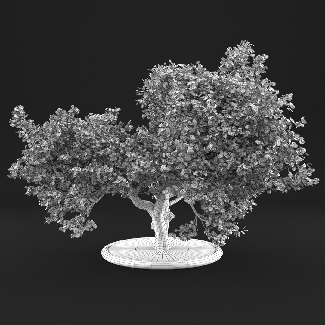 3D apple tree model - TurboSquid 1159251