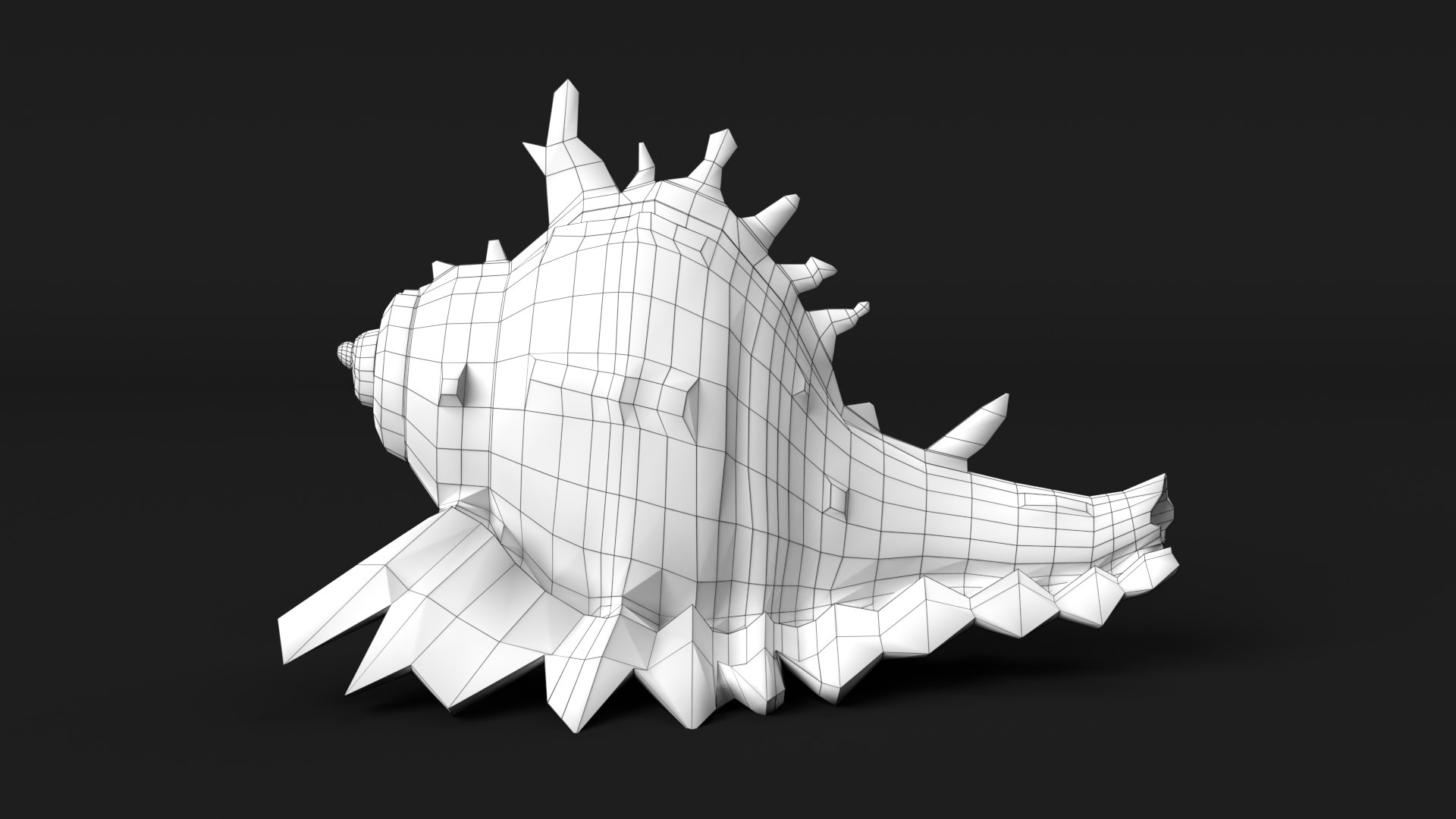 Seashell shell sea 3D model - TurboSquid 1665774