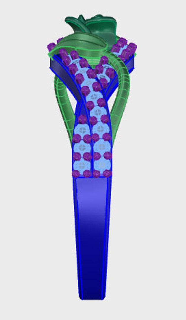 3D gold ring model - TurboSquid 1548579