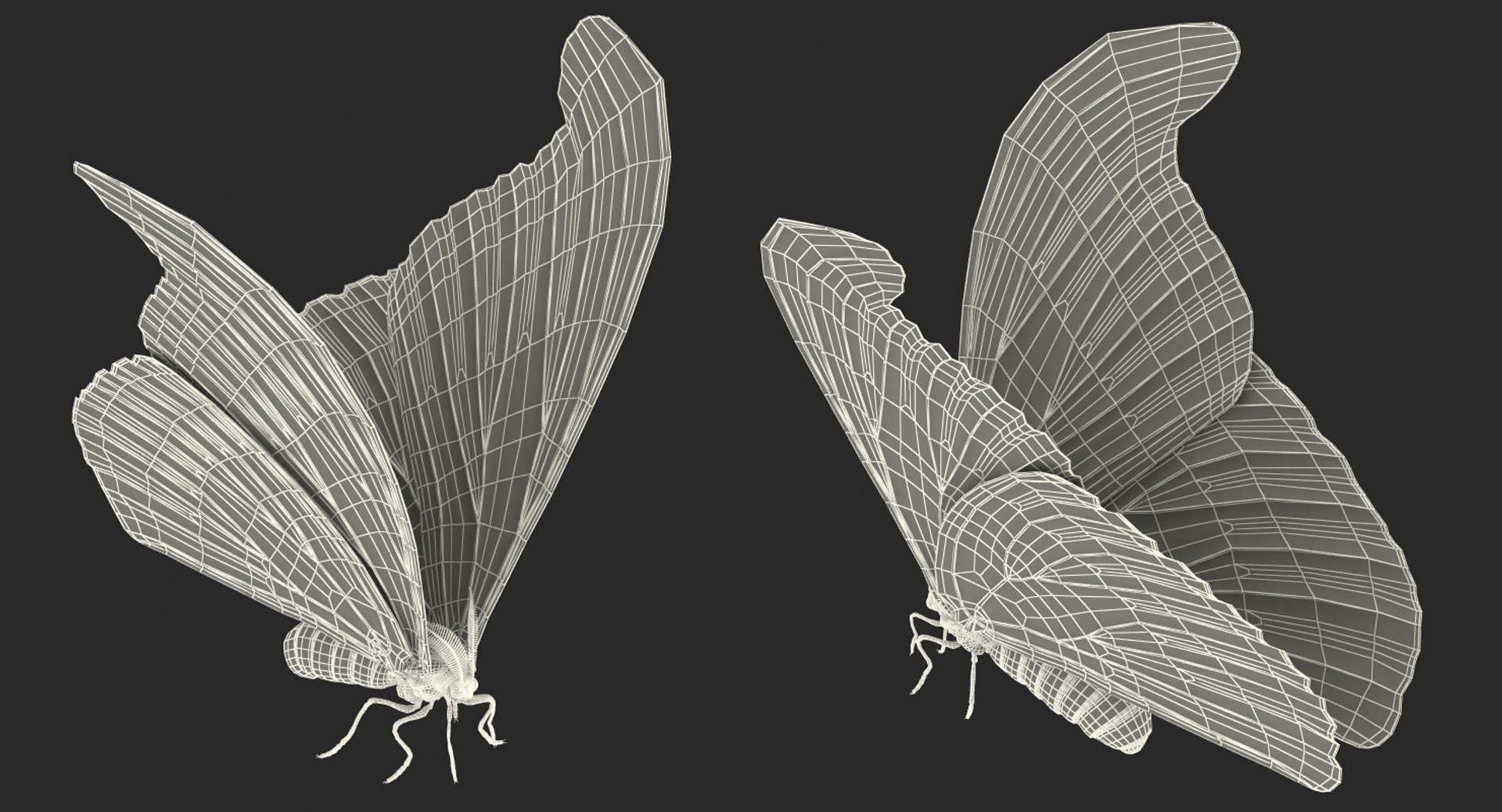 Atlas moth rigged 3D model - TurboSquid 1199241