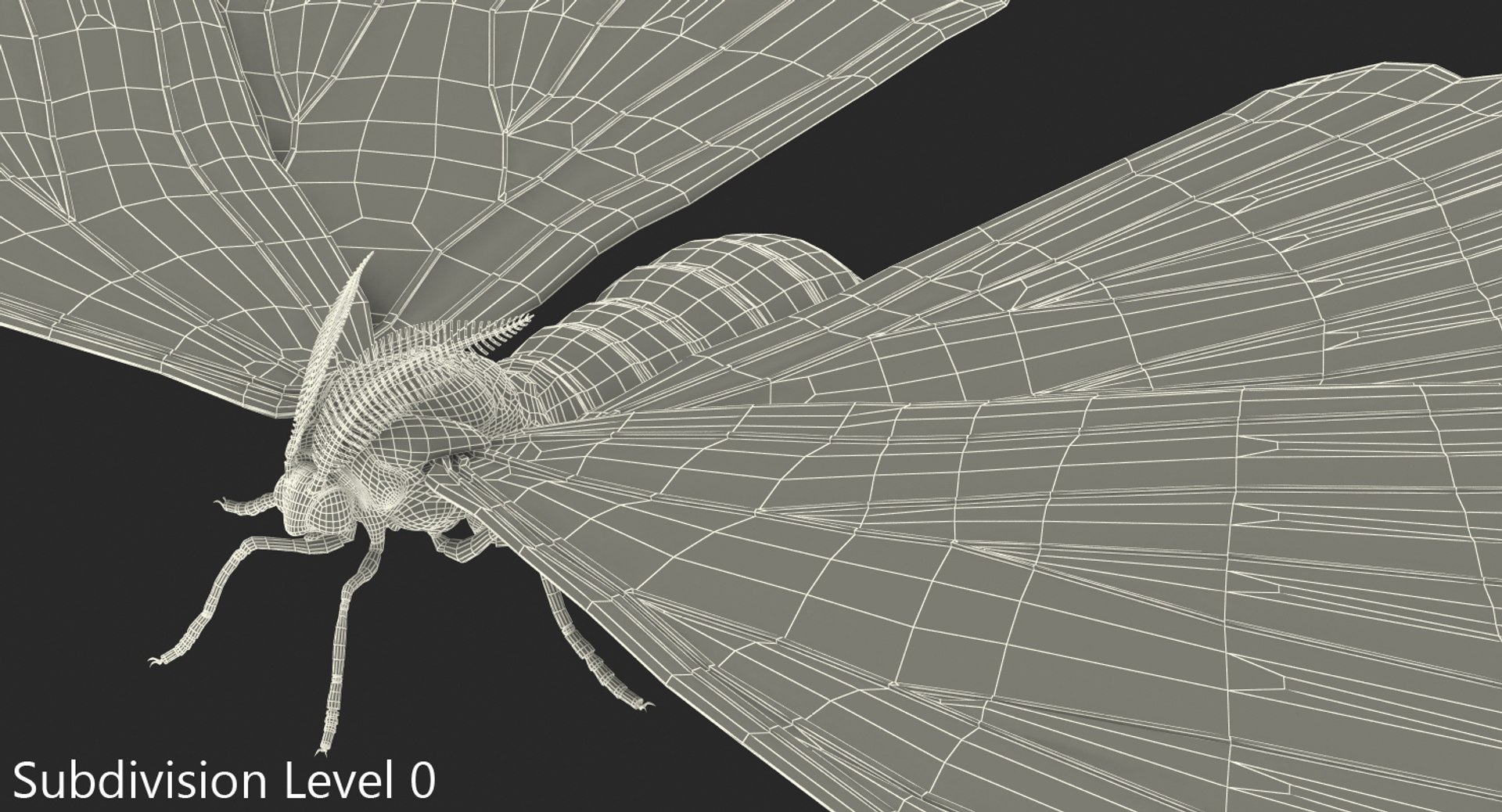 Atlas moth rigged 3D model - TurboSquid 1199241
