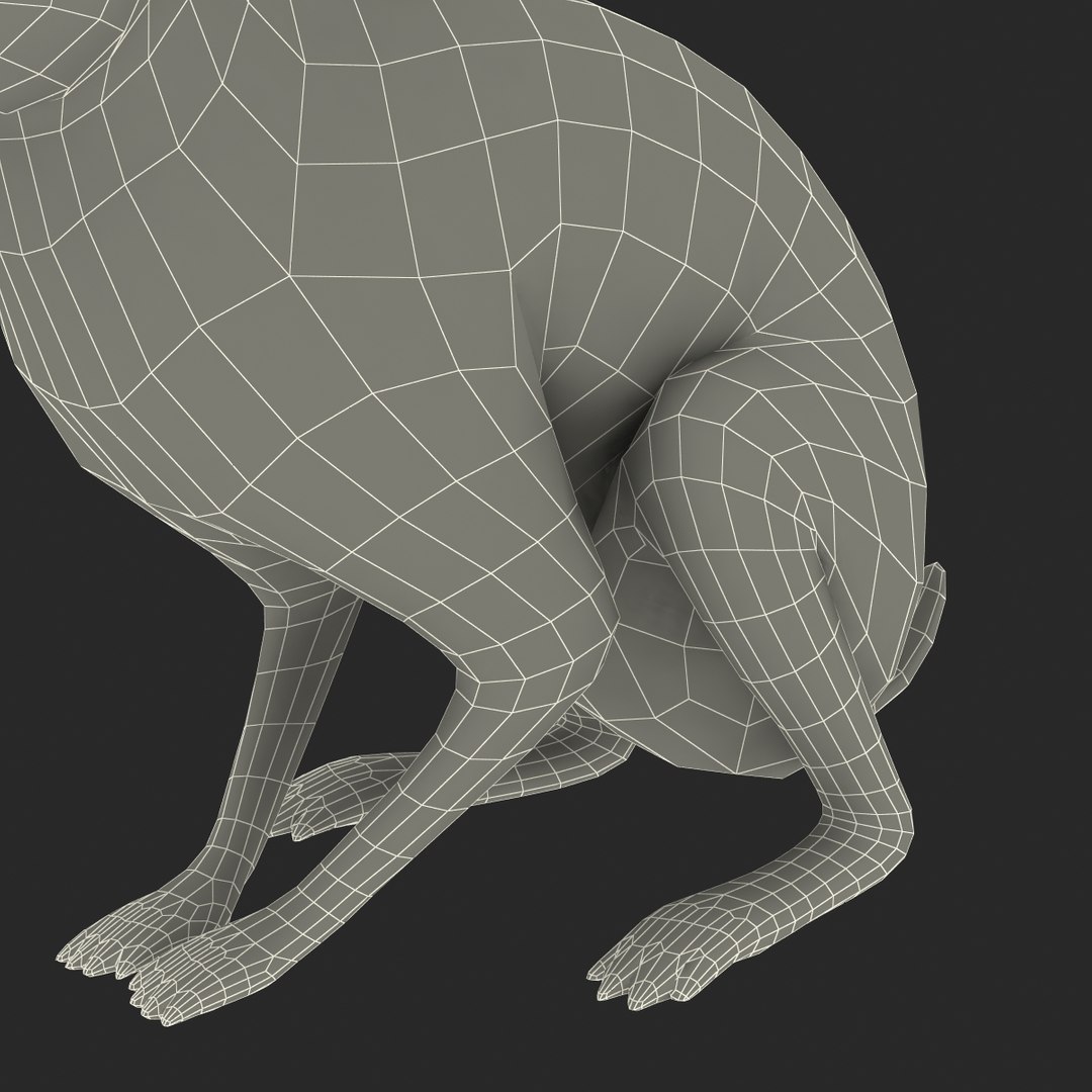 3d model black rabbit pose 3