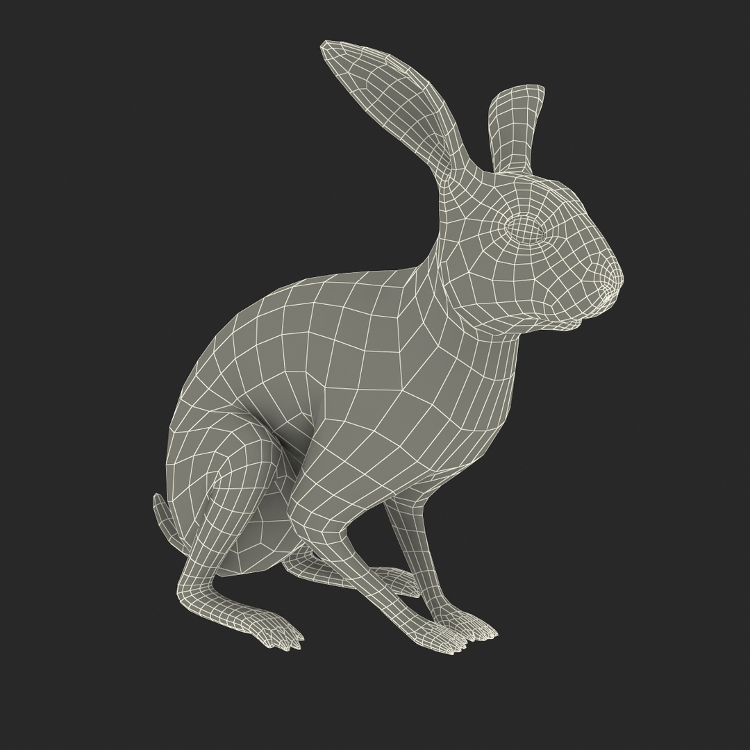 3d Model Black Rabbit Pose 3