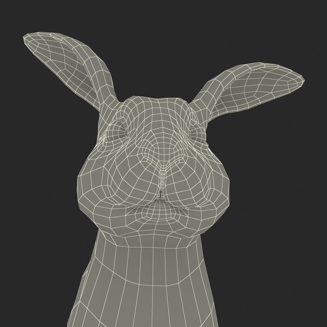 3d model black rabbit pose 3