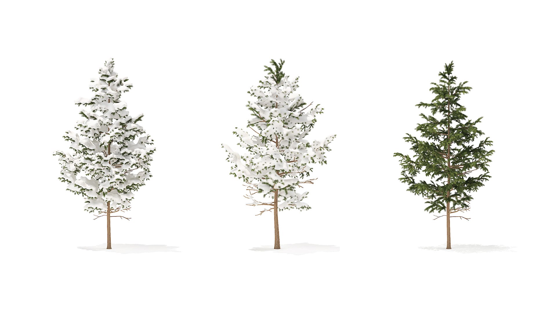 Fir Tree Set Winter Summer 3D Model - TurboSquid 2320778