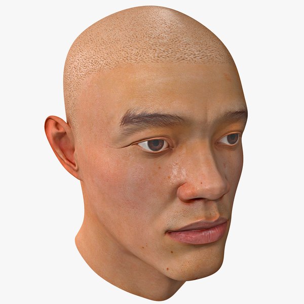 3d male head 11