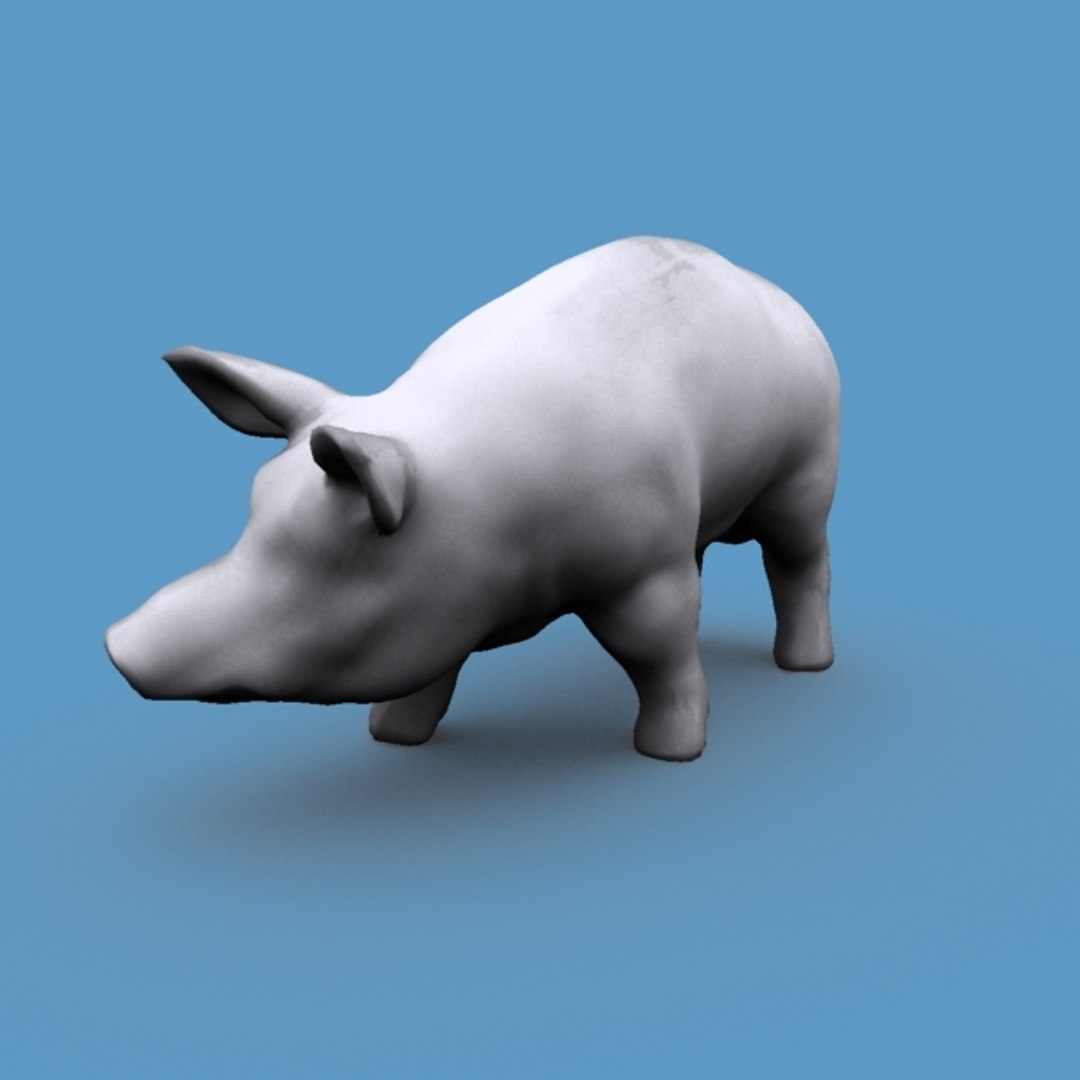 3d pig animating model
