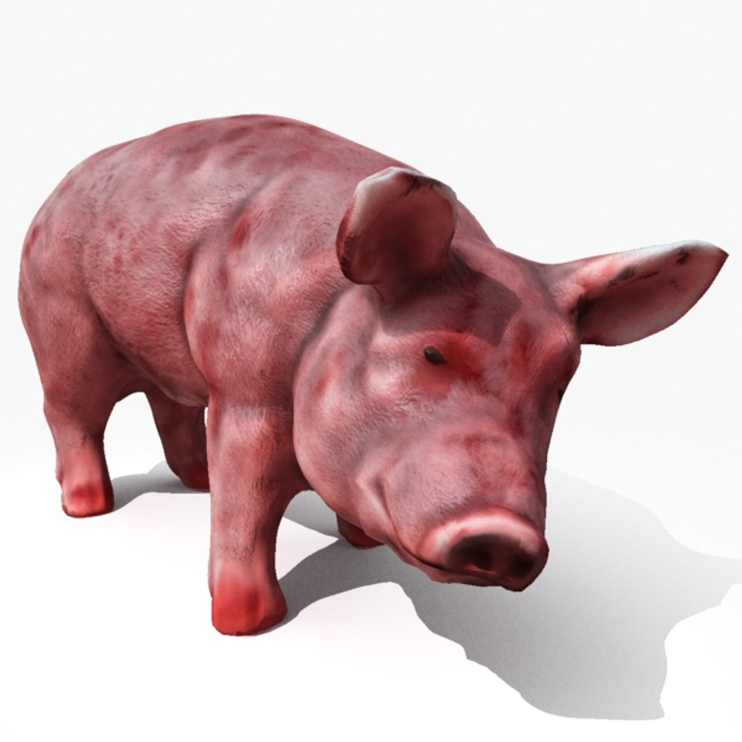 3d pig animating model