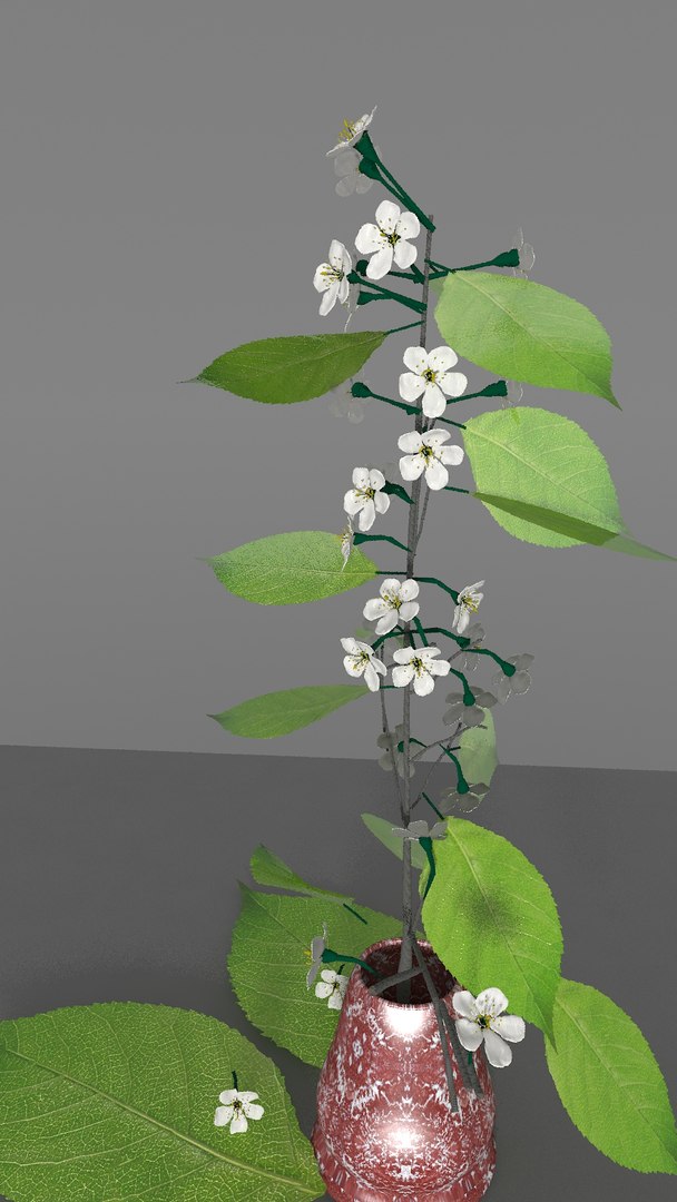 3D cherry branch flowers - TurboSquid 1391062