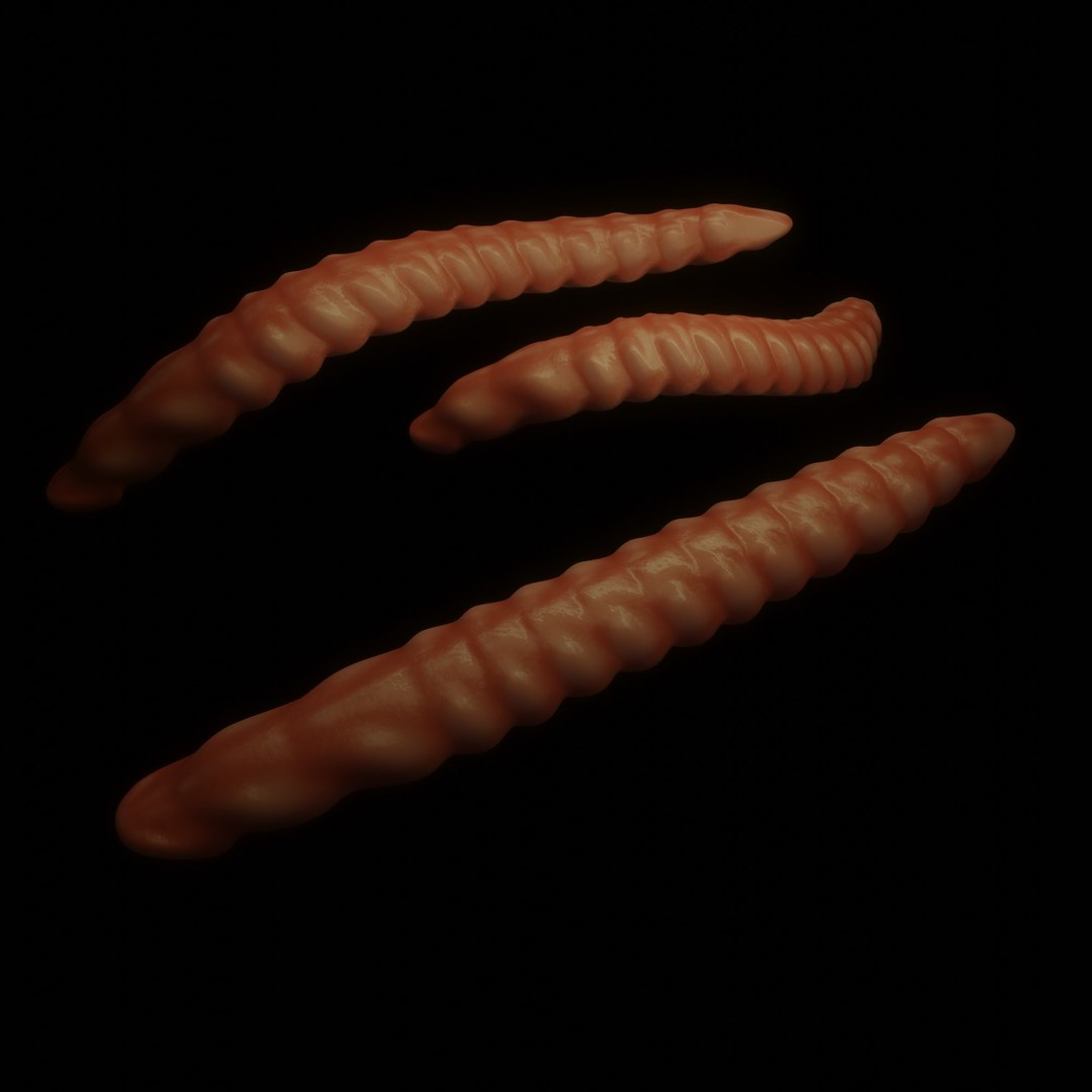 3D Model Worm - TurboSquid 1825706
