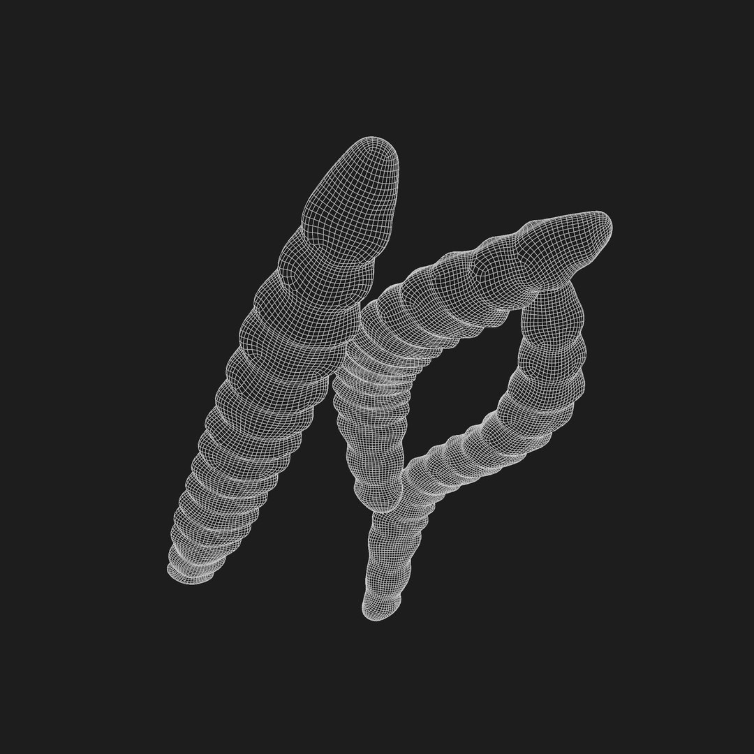 3D Model Worm - TurboSquid 1825706