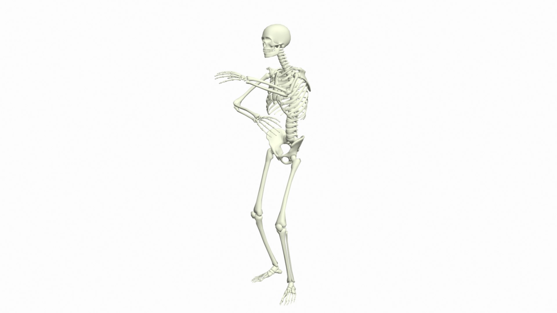 3D Model Skeleton Dancing - TurboSquid 1890976