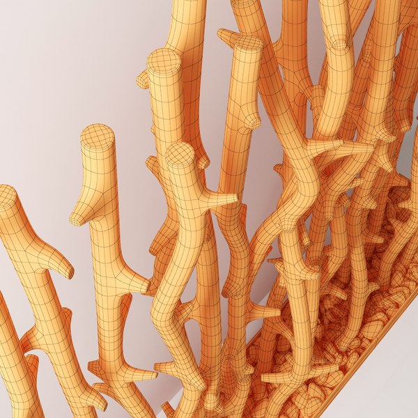 3D model branch tree old - TurboSquid 1480034