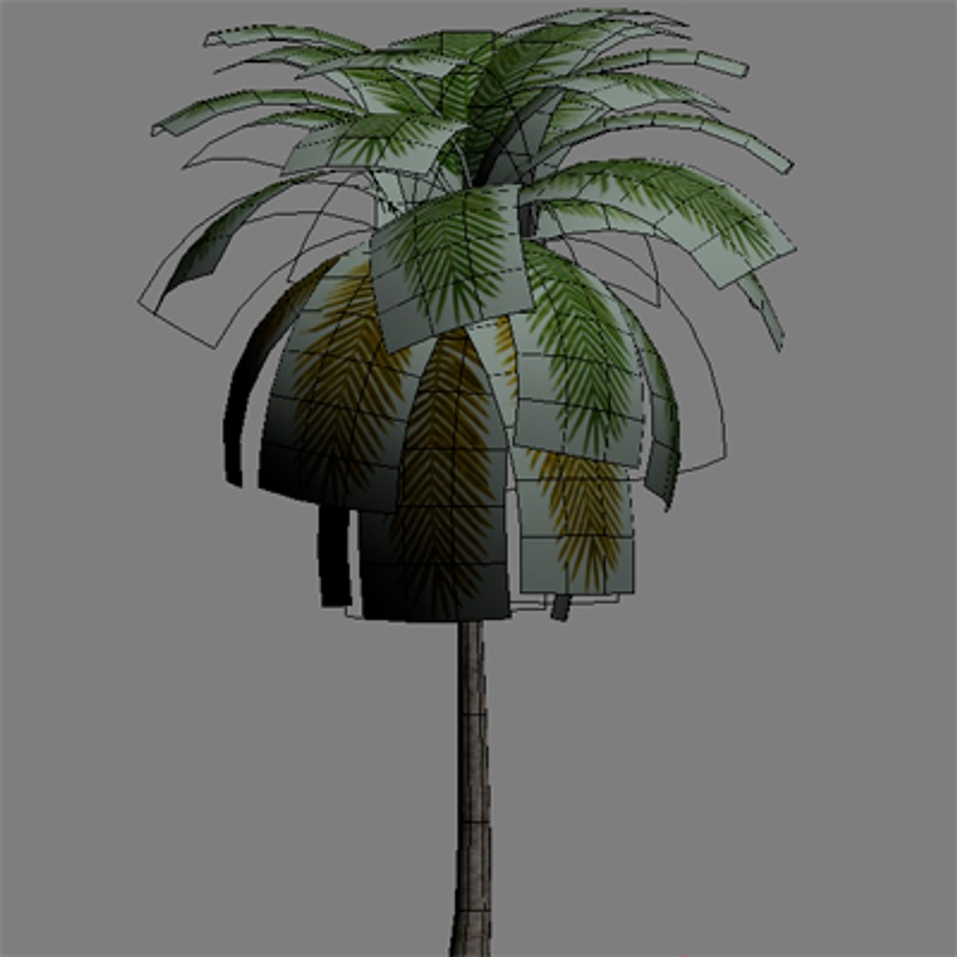 palm tree max