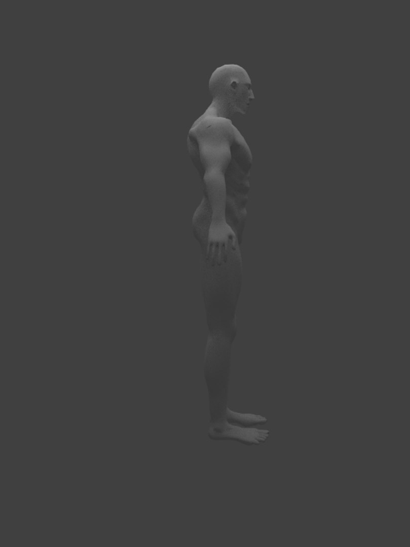 3d Model Blender Human Male Muscular Body