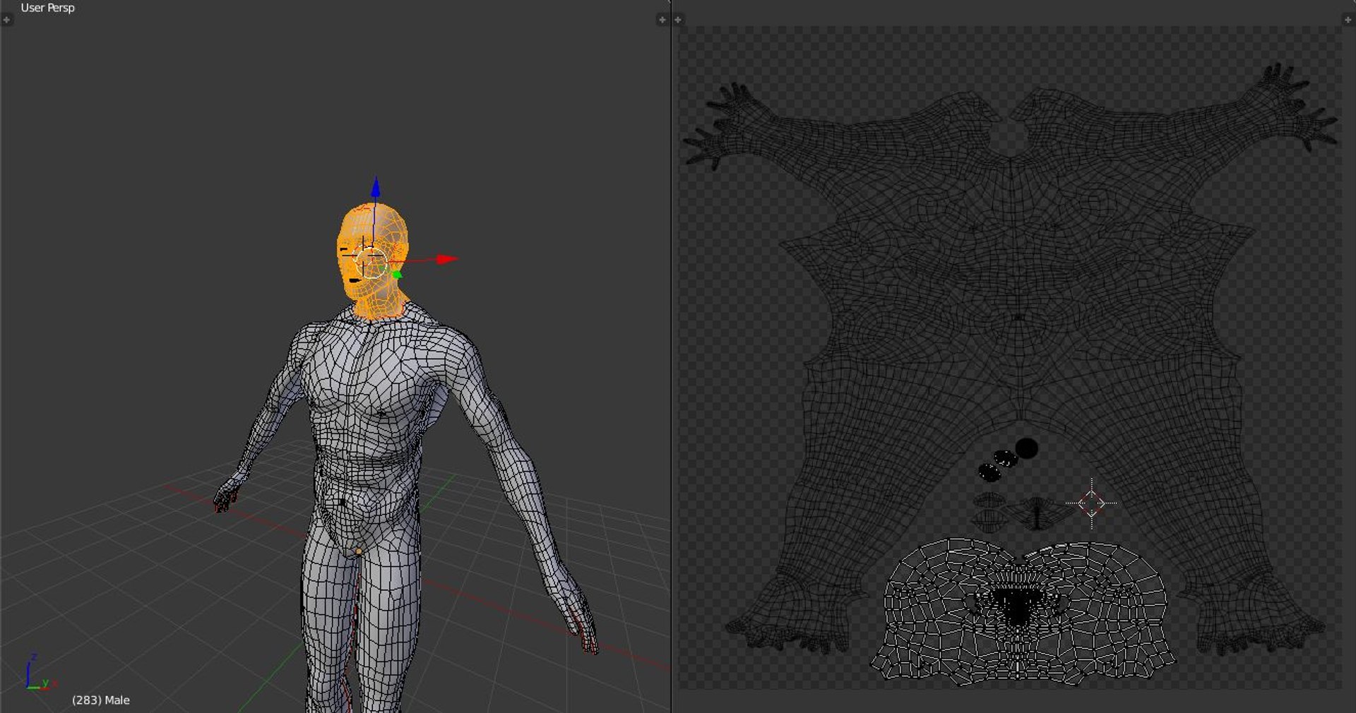 3d Model Blender Human Male Muscular Body