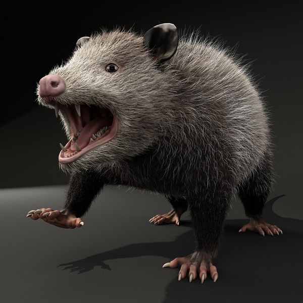 possum fur rigged 3d max