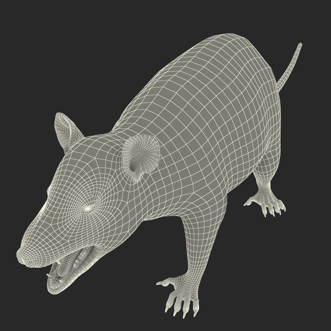 possum fur rigged 3d max
