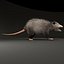 Possum Fur Rigged 3d Max