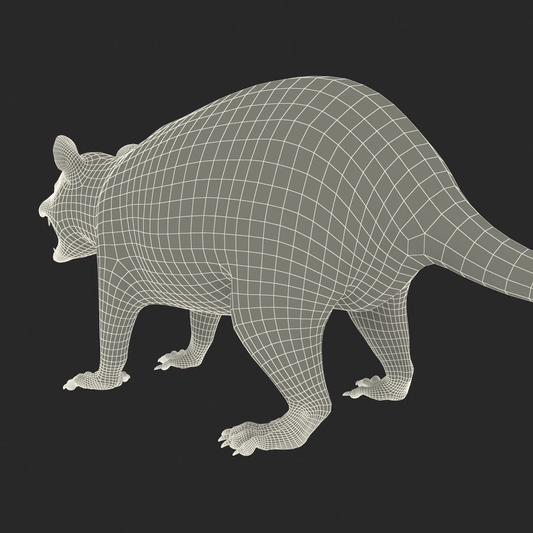 Possum Fur Rigged 3d Max