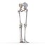 3ds Human Male Lower Body Skeleton
