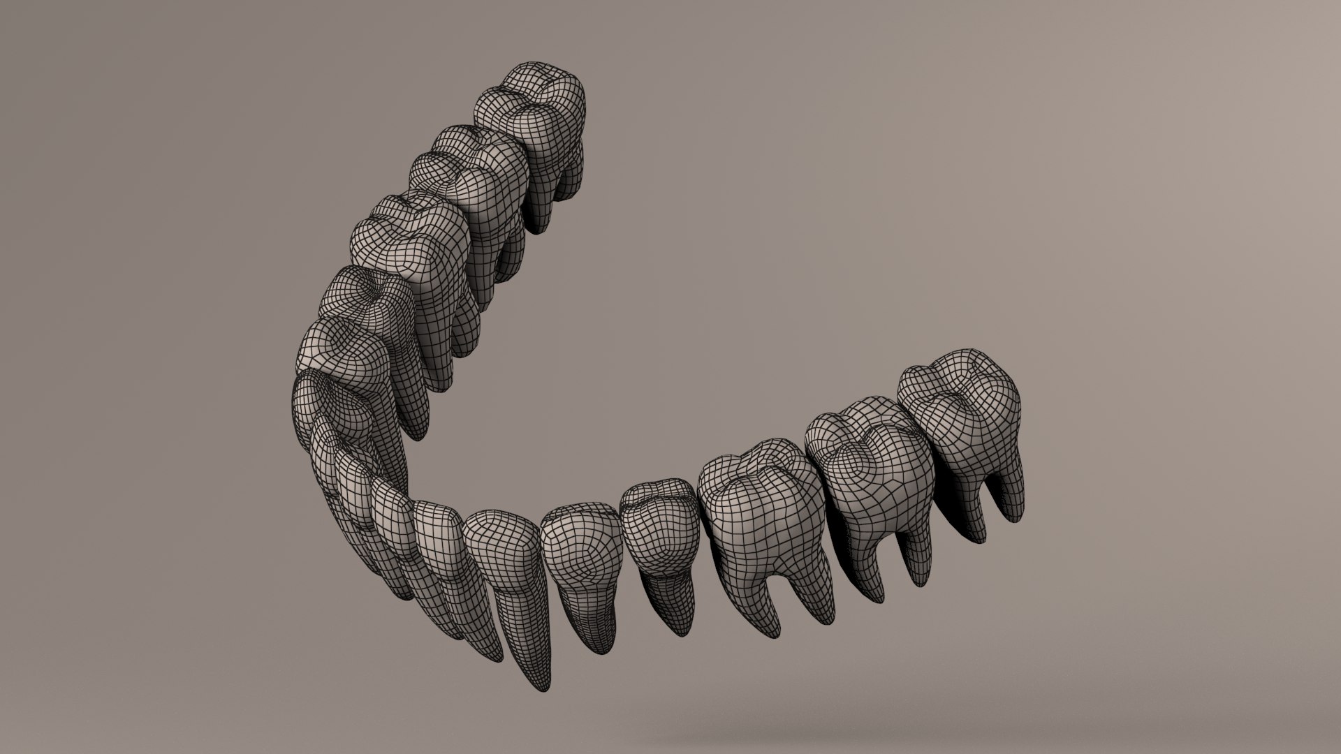 Lower Jaw With Lower Teeth Model - TurboSquid 1909201