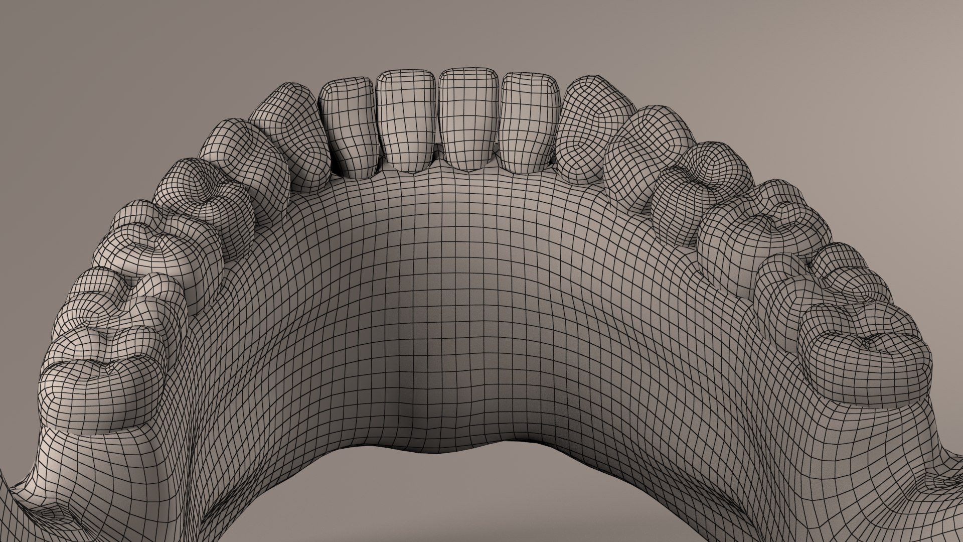 Lower Jaw With Lower Teeth Model - TurboSquid 1909201