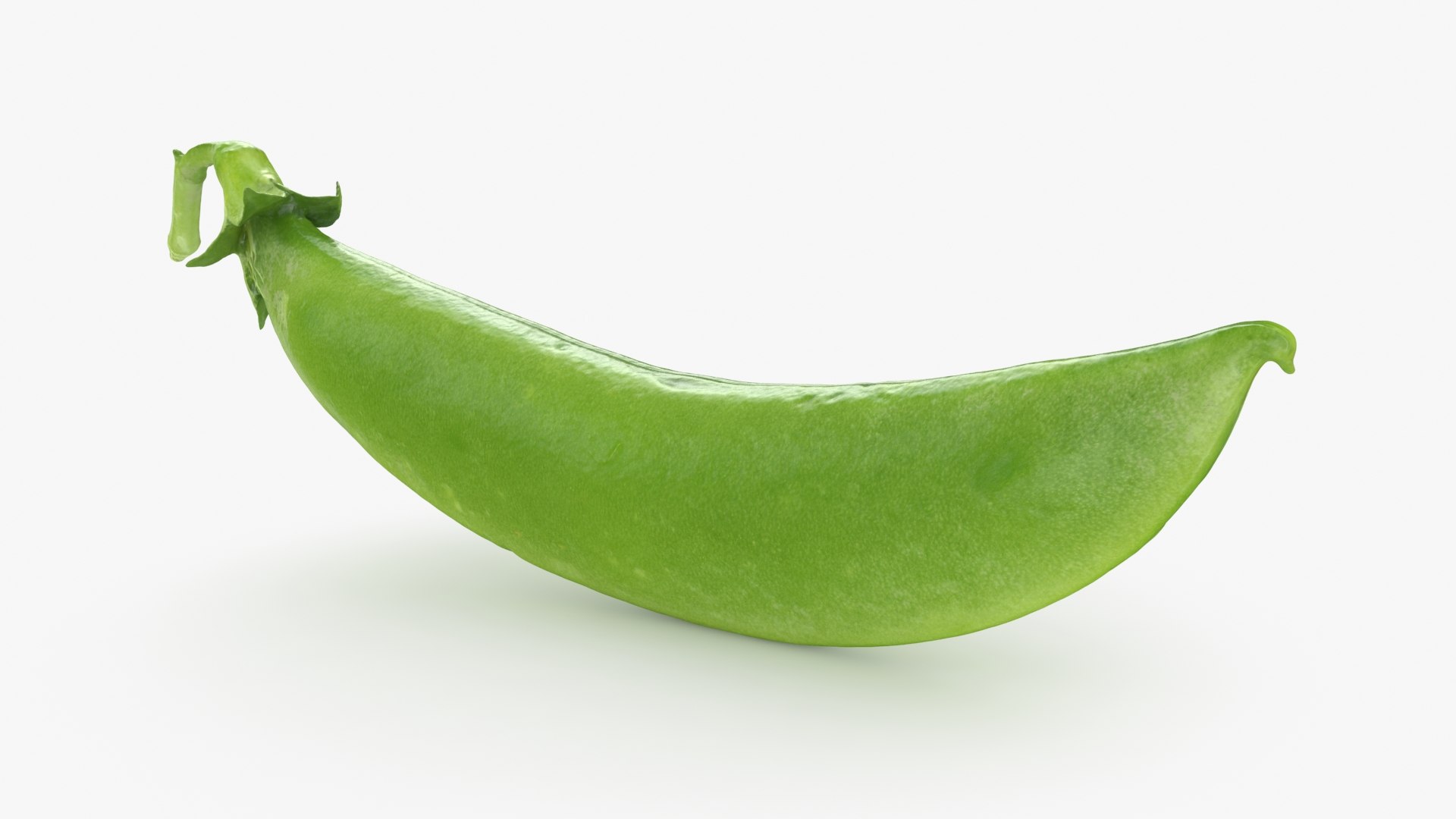 Snap Pea 02 3D Model - TurboSquid 2250015