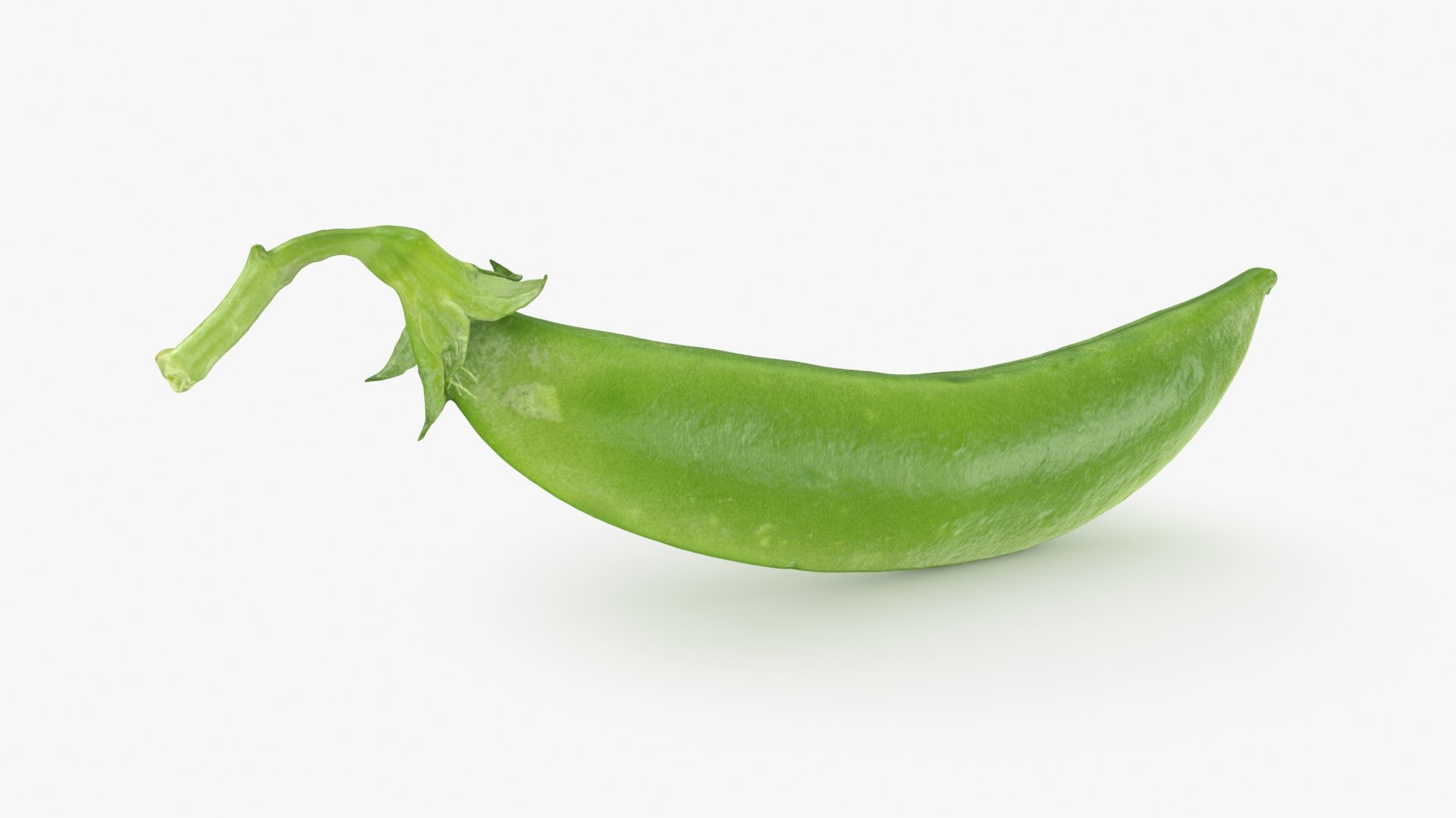 Snap Pea 02 3D Model - TurboSquid 2250015