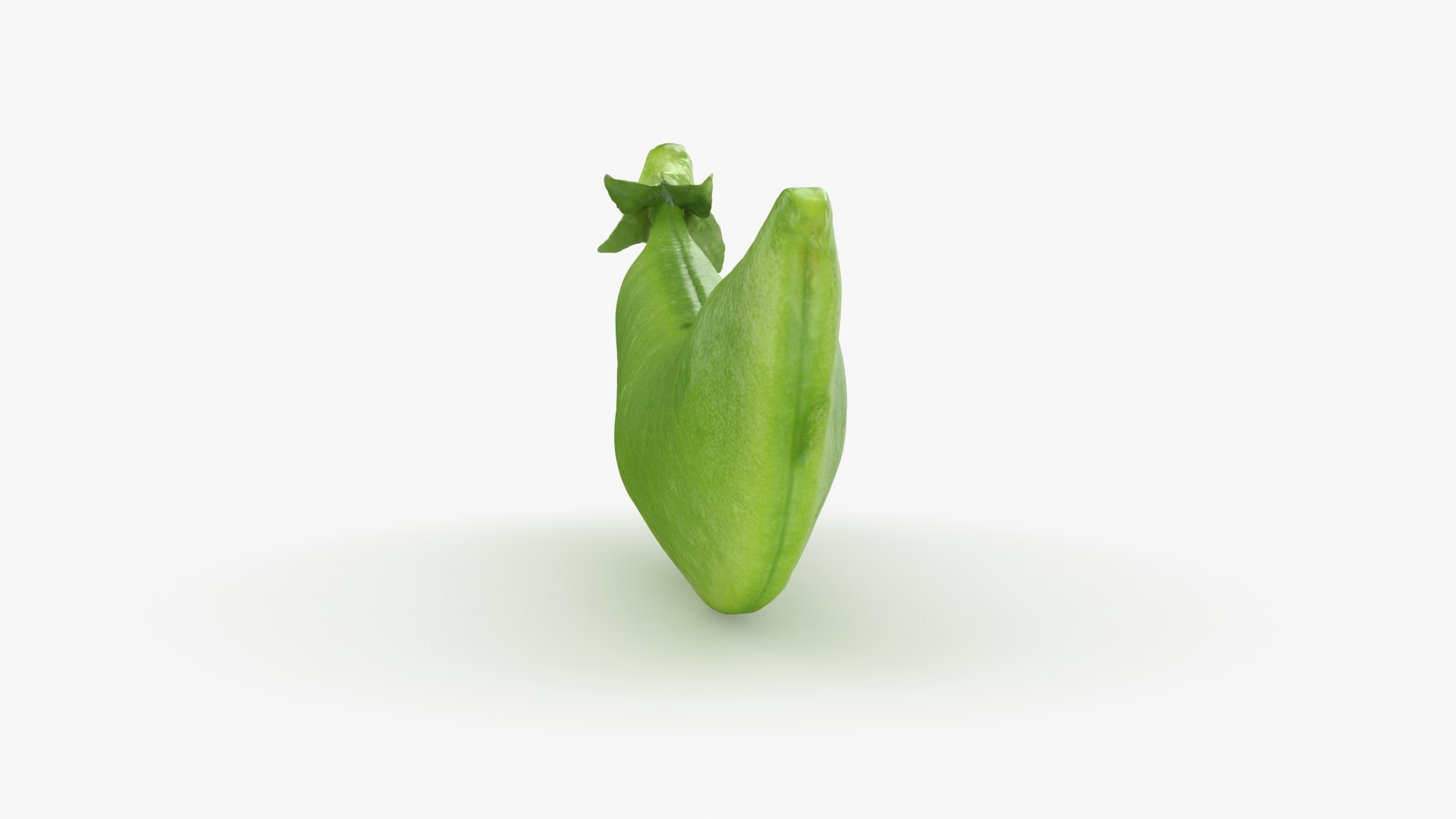 Snap Pea 02 3D Model - TurboSquid 2250015