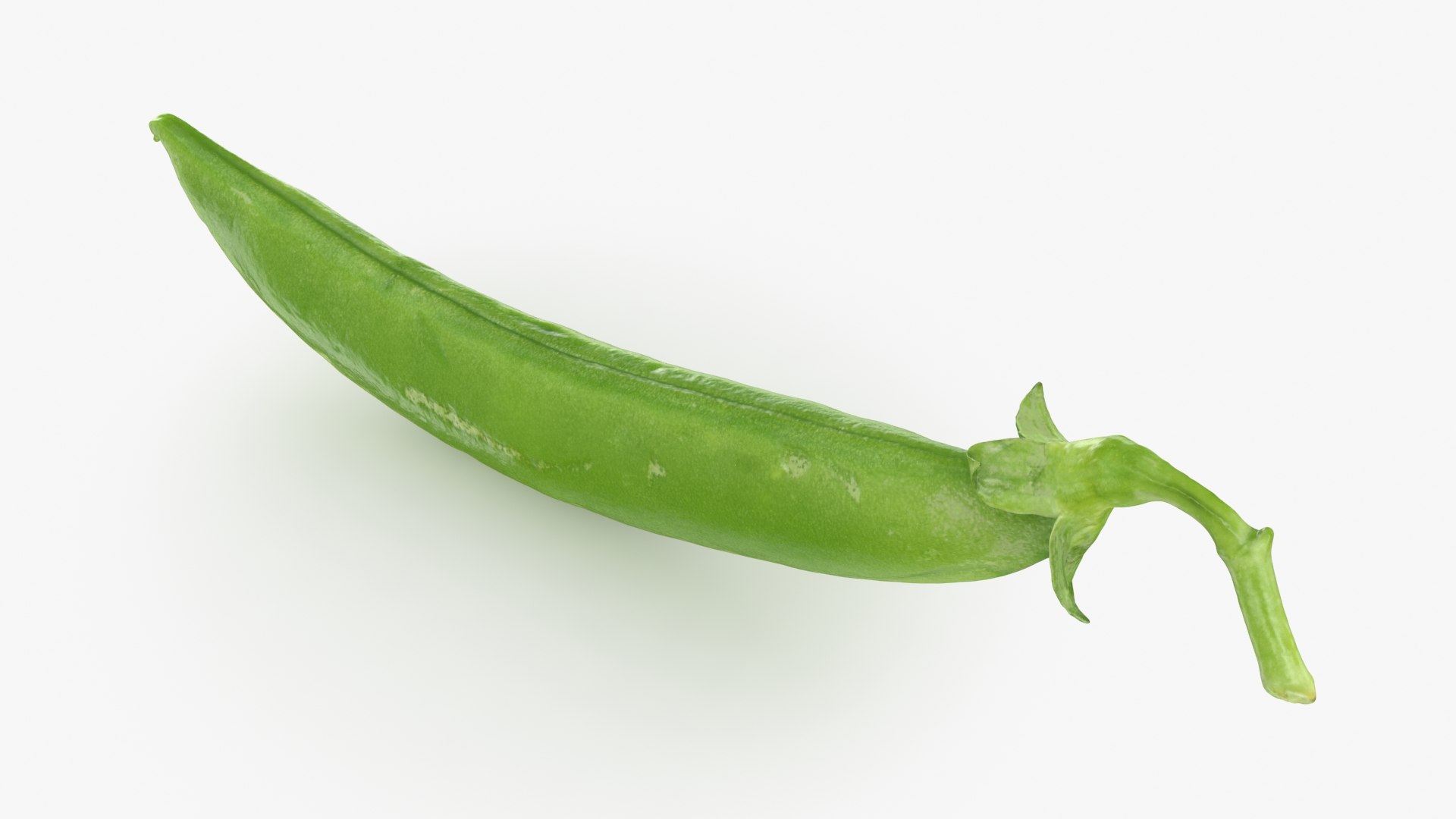 Snap Pea 02 3D Model - TurboSquid 2250015