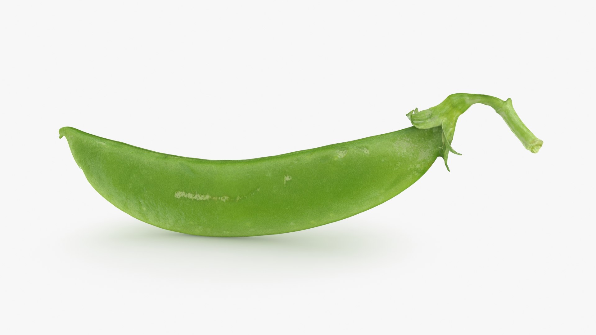 Snap Pea 02 3D Model - TurboSquid 2250015