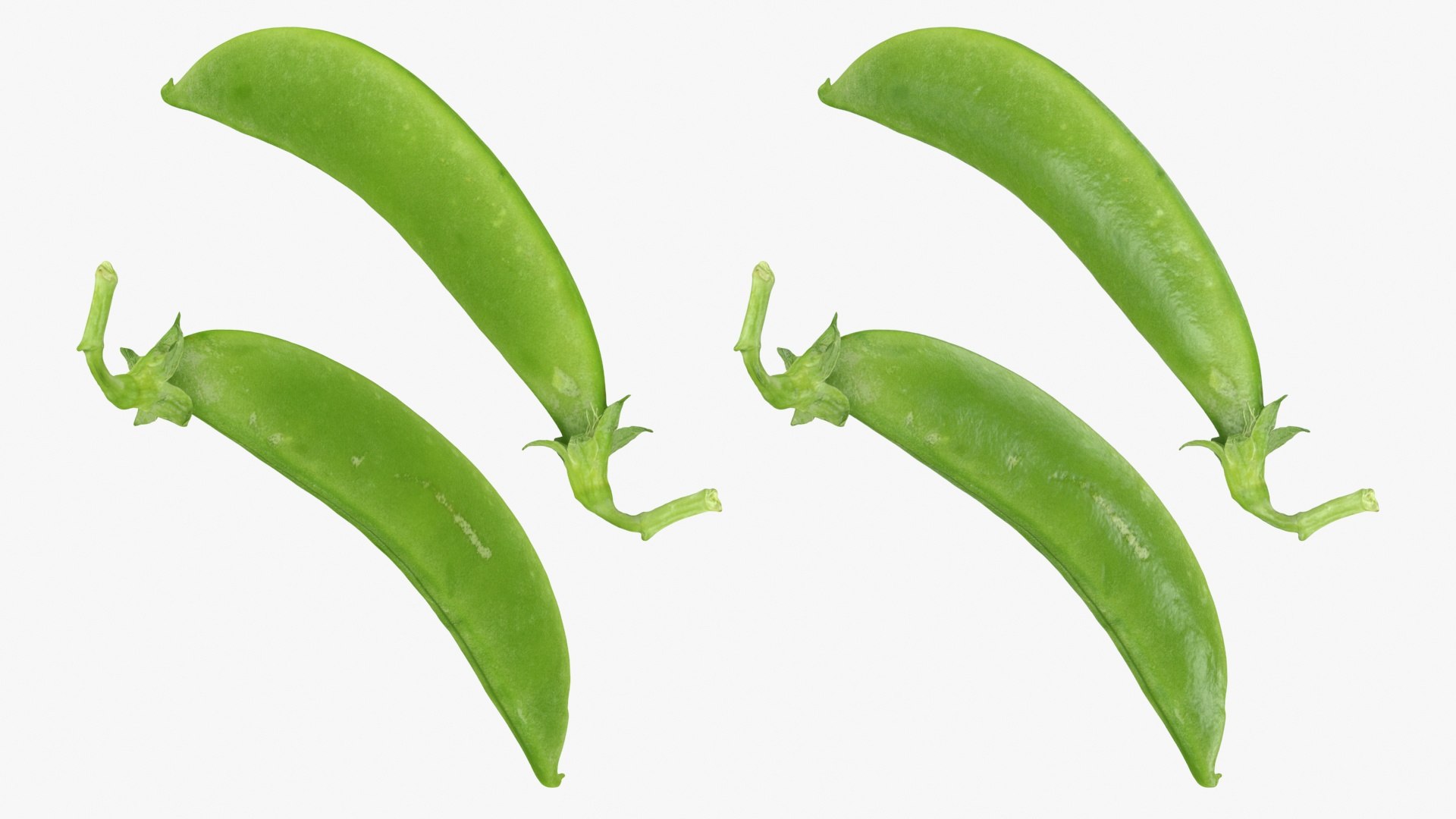 Snap Pea 02 3D Model - TurboSquid 2250015