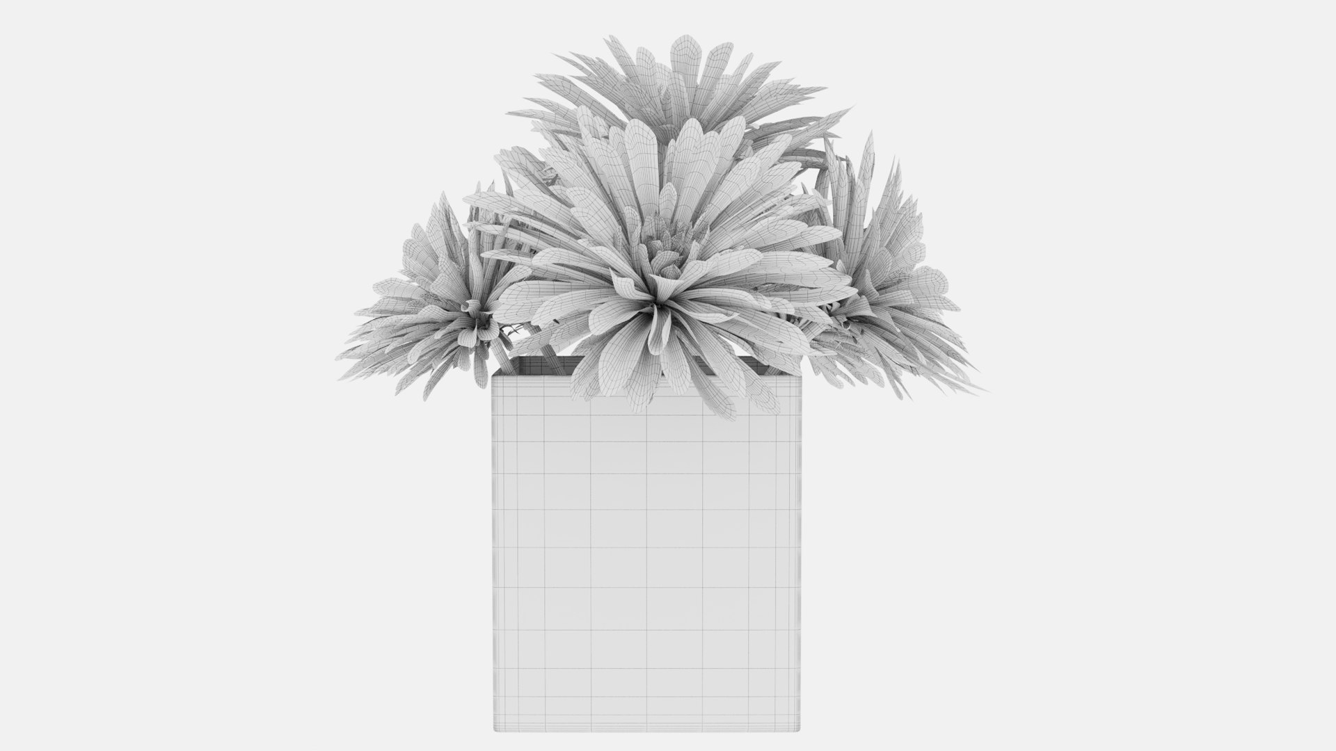 Plant 36 Model - TurboSquid 2001405