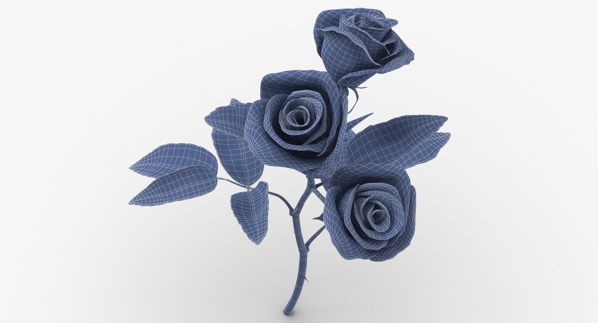 3D Spray Rose - TurboSquid 1592520