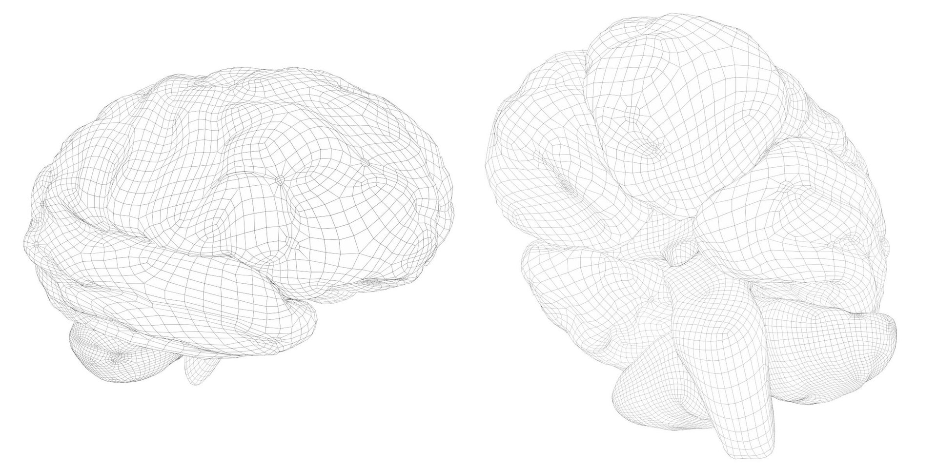 Stylized Human Brain 3D Model - TurboSquid 2112055