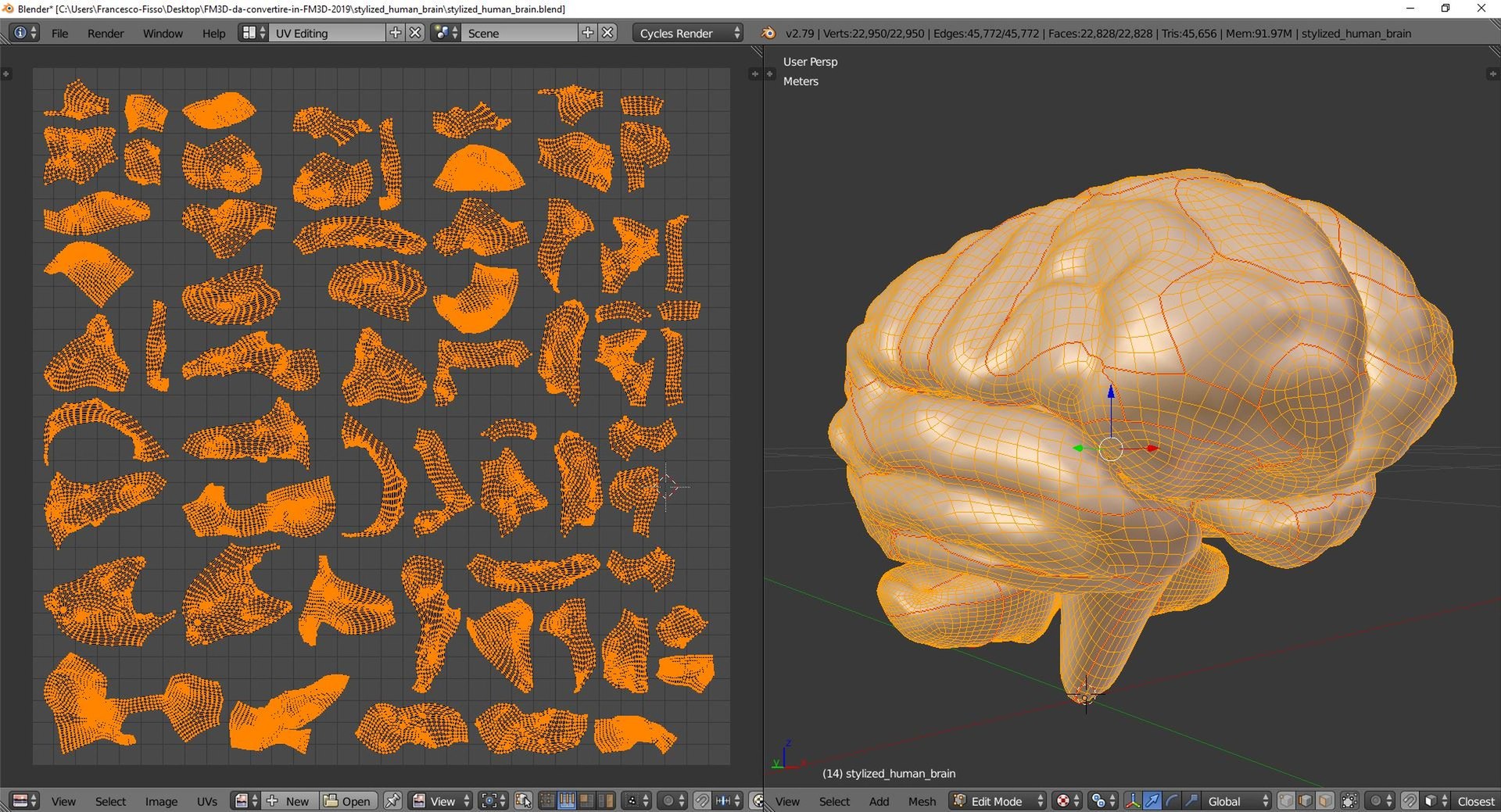Stylized Human Brain 3D Model - TurboSquid 2112055