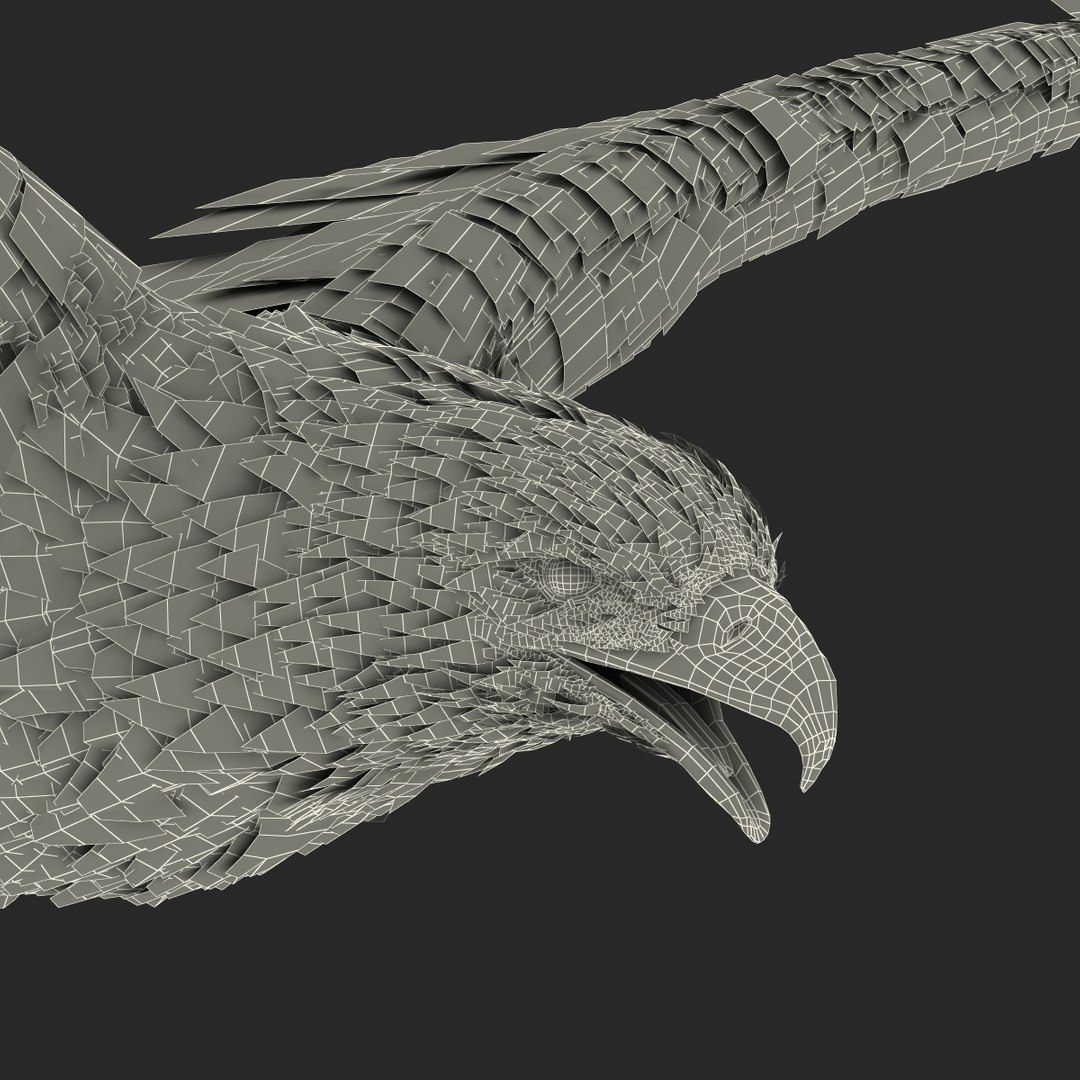 Imperial Eagle Pose 7 C4d