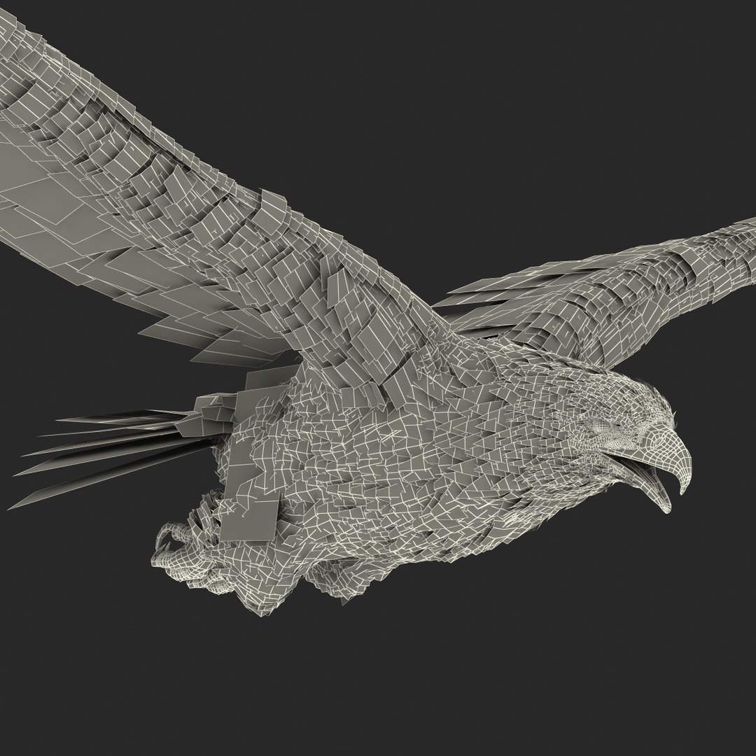 Imperial Eagle Pose 7 C4d