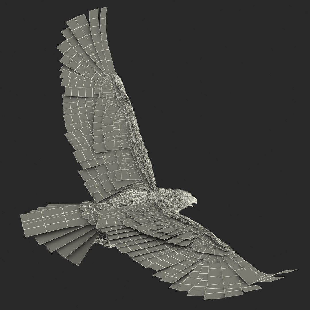 Imperial Eagle Pose 7 C4d