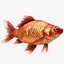Realistic Gold Fish 3D - TurboSquid 1479655