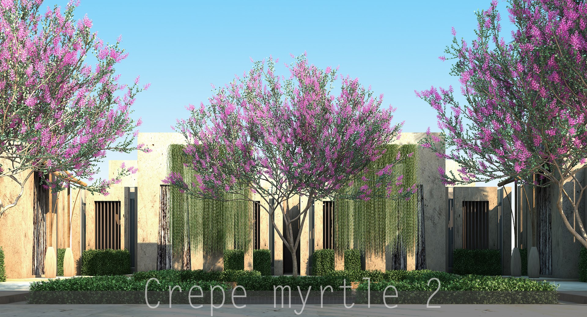 2 4 Tree Flowers 3d Model