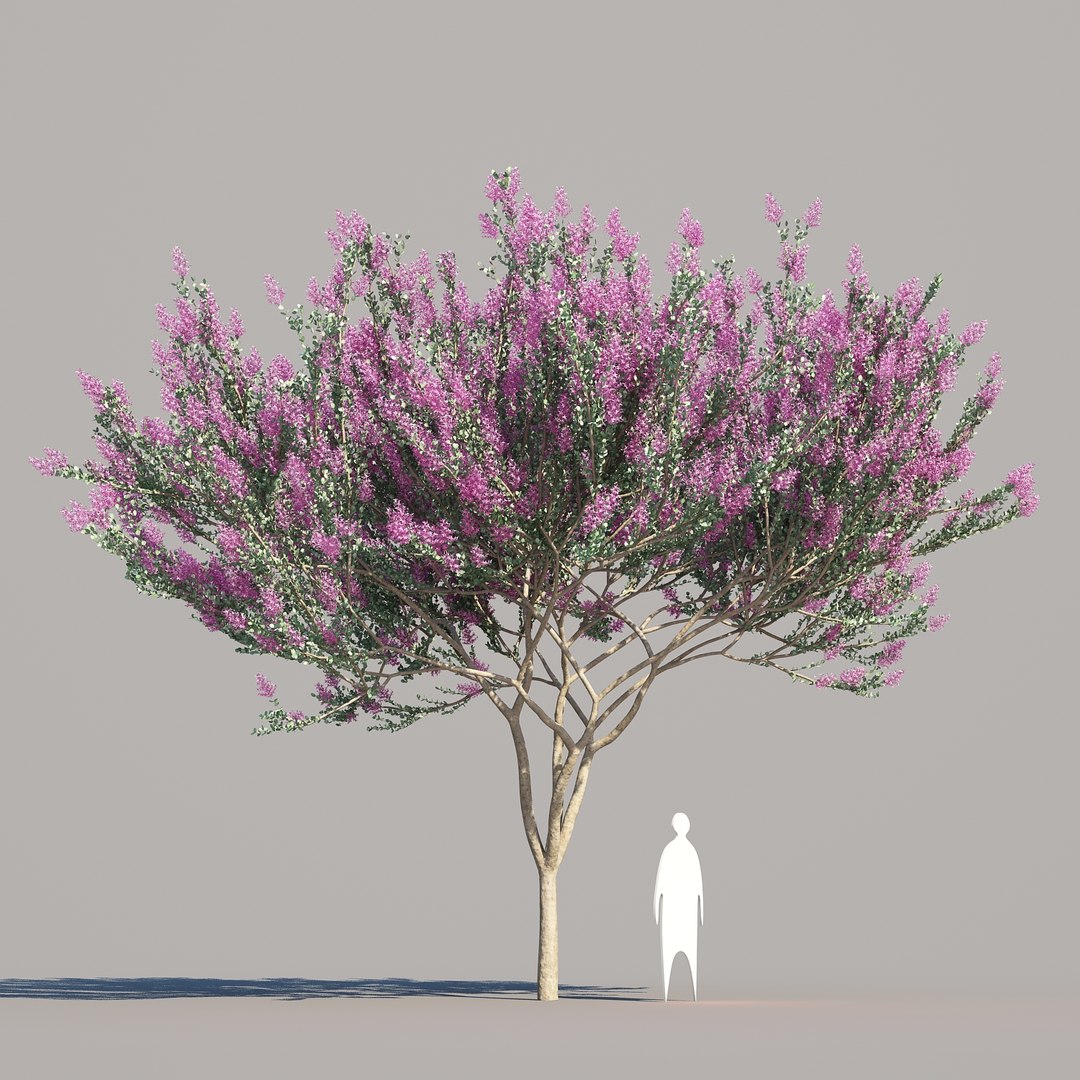 2 4 Tree Flowers 3d Model