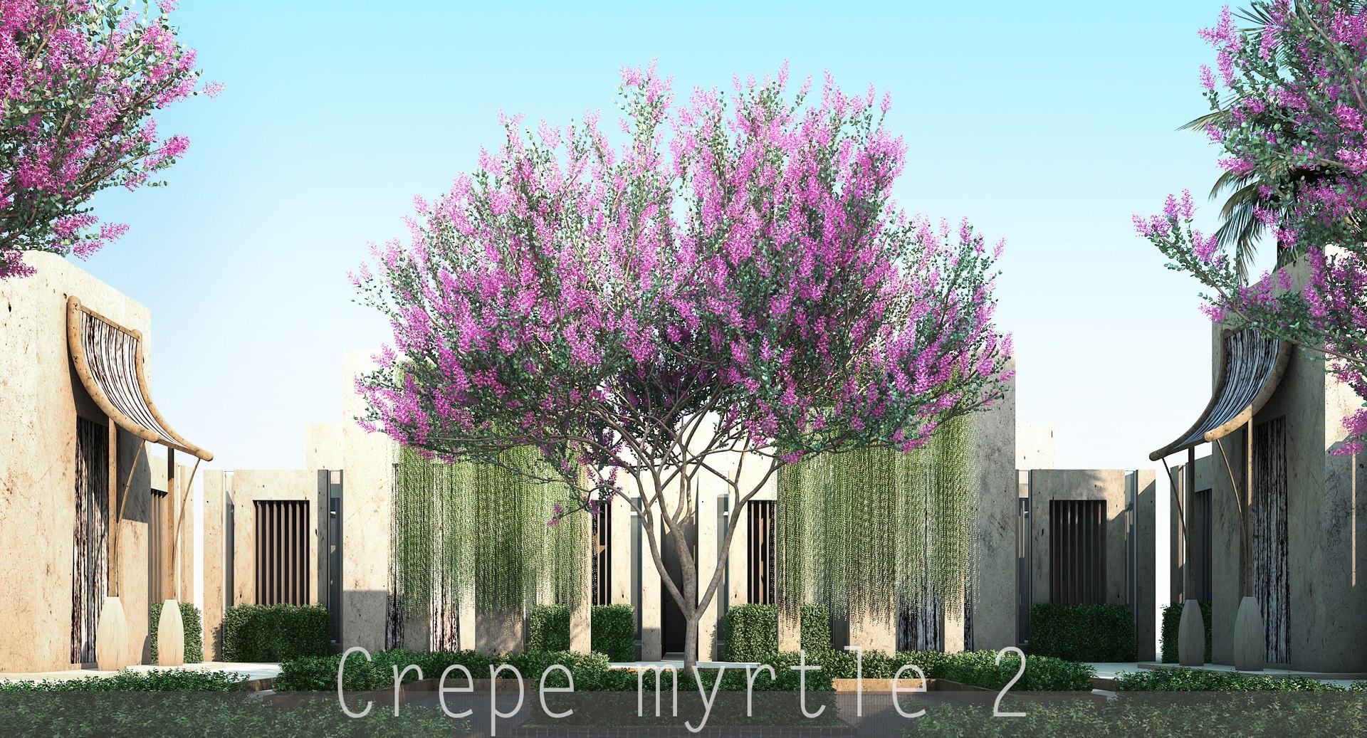 2 4 Tree Flowers 3d Model