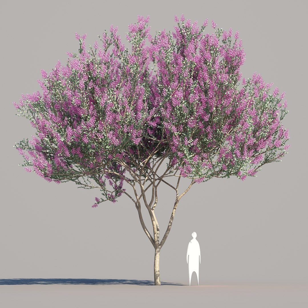 2 4 Tree Flowers 3d Model