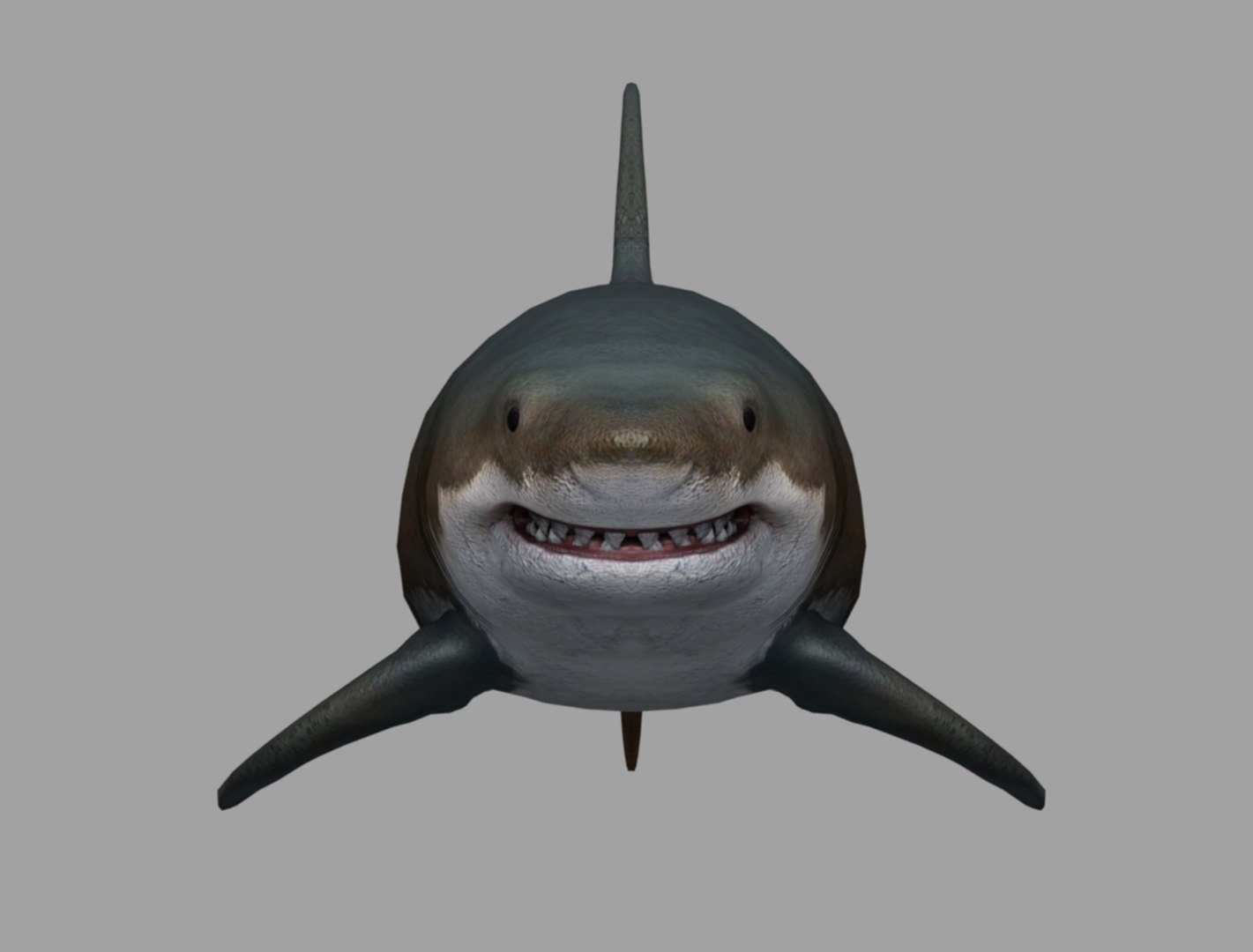 3D White Shark Model - TurboSquid 1568766